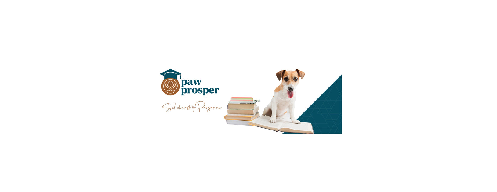 Paw Prosper Launches Scholarships for Vet Students