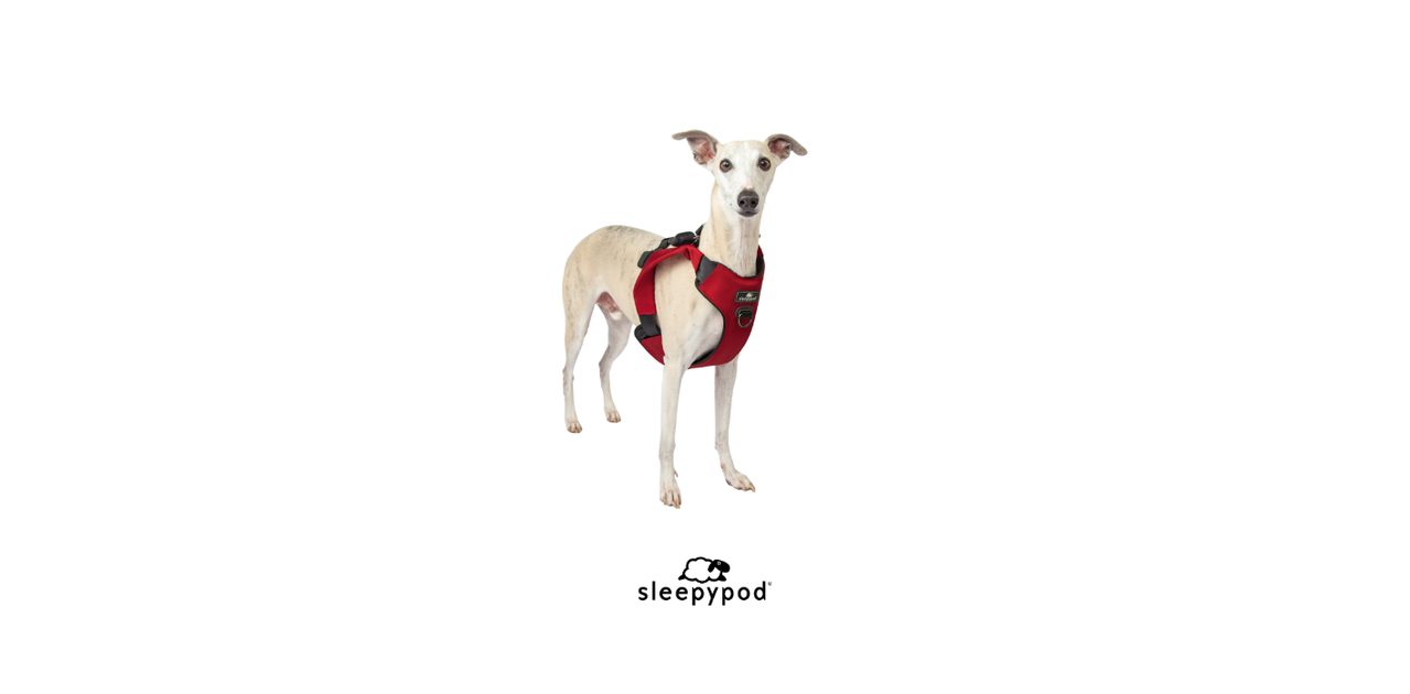 Sleepypod Launches Clickit Range, a Car Safety Harness Designed and Te ...