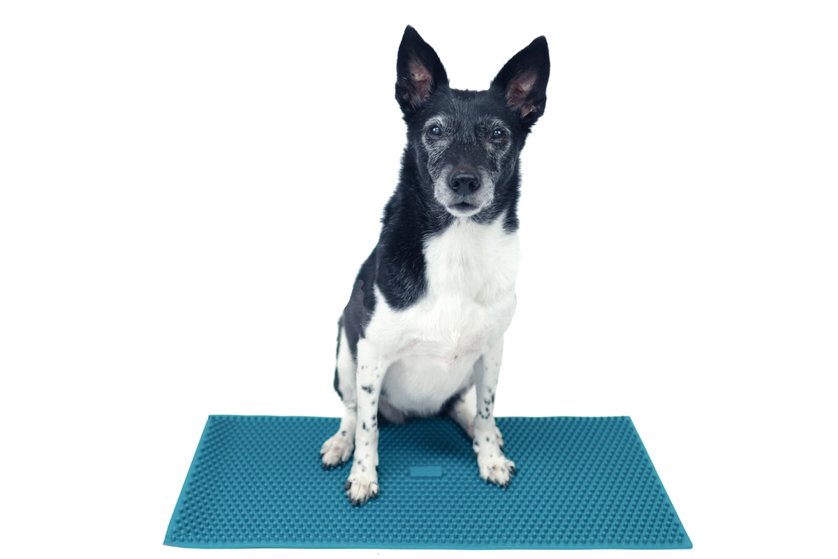 FitPaws K9 FitMat (24" x 12") — Paw Prosper