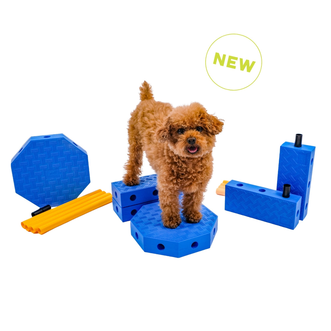 FitKinect™ — Paw Prosper