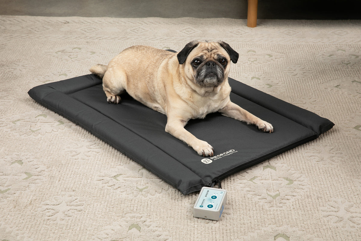 Bio-Pulse PEMF Dog or Cat Bed/ Therapy Mat - Nylon — Paw Prosper