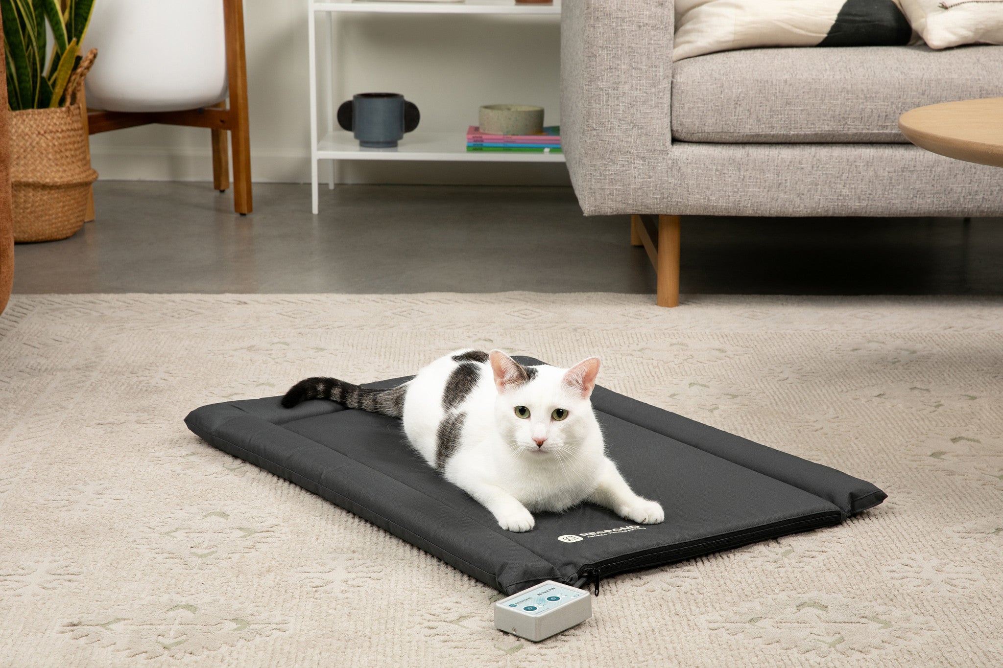 Bio-Pulse PEMF Dog or Cat Bed/ Therapy Mat - Nylon — Paw Prosper