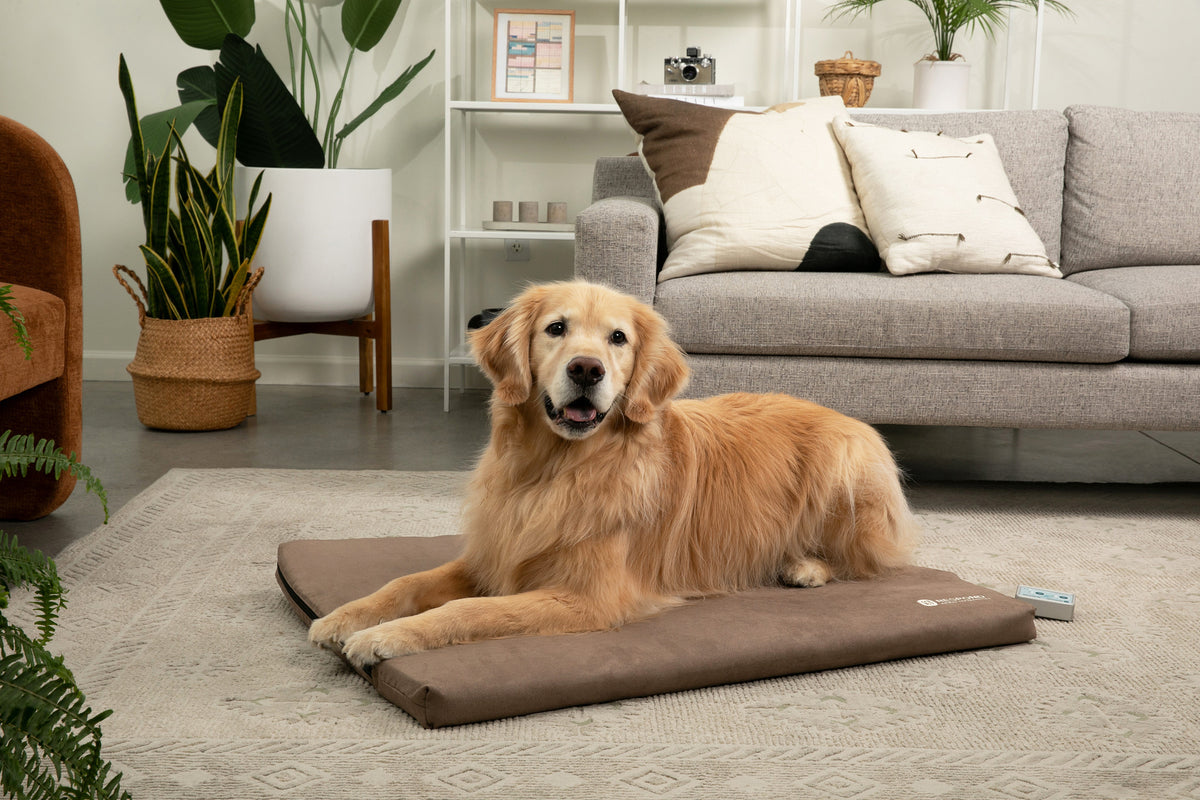 Bio-Pulse PEMF Dog Bed Therapy System - Plush Micro-Suede — Paw Prosper