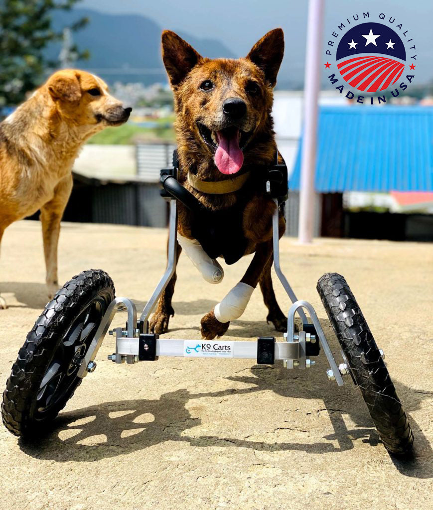 Dog Wheelchair for Front Legs — Paw Prosper